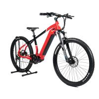 China 20 Inch Fat Tire Electric Bike 48V 1000W Dual Motor Full Suspension Ebike for Adults for sale