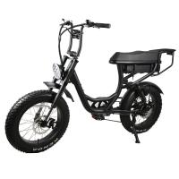 China 48V 750W Bafang Motor Electric Fat Tire Beach Cruiser eBike for Two Seat for sale