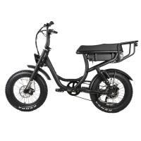 China 48V 750W Bafang Motor Electric Fat Tire Beach Cruiser eBike for Two Seat for sale