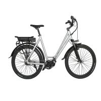 China DOMANCA 750W Lady Electric Bike with 48V 40AH Samsung Battery and 18 Speed Gears for City Riding for sale