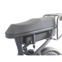 China 48V 750W Bafang Motor Electric Fat Tire Beach Cruiser eBike for Two Seat for sale