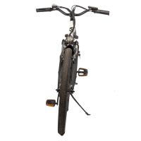 China DOMANCA 750W Lady Electric Bike with 48V 40AH Samsung Battery and 18 Speed Gears for City Riding for sale