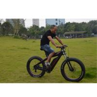 China 48V 750W Rear Hub Motor Full Suspension Carbon Fiber Frame MTB Electric Bicycle 80Nm Torque for sale