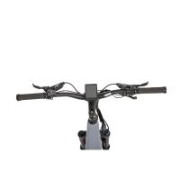 China Kenda 700C Electric City Bike 36V 250W Mid Drive Motor Men Mountain Bicycle for sale