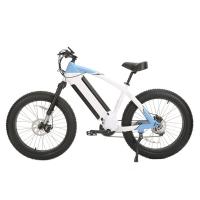 China Solid Fork 26 Inch Adult Electric Bike 36V 250W Middle Drive Down Tube Lithium Battery for sale