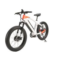 China Solid Fork 26 Inch Adult Electric Bike 36V 250W Middle Drive Down Tube Lithium Battery for sale