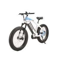 China Solid Fork 26 Inch Adult Electric Bike 36V 250W Middle Drive Down Tube Lithium Battery for sale