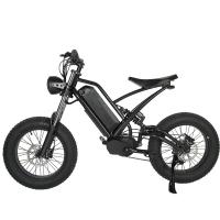 China 36V 250W Electric Dirt Bike for Adults 700C Belt Drive eBike with LCD Display for sale