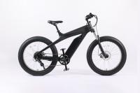 China Adult Electric Mountain Bike 36V 250W Mid Drive Motor Carbon Fiber Frame E-MTB for sale