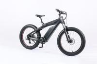China Adult Electric Mountain Bike 36V 250W Mid Drive Motor Carbon Fiber Frame E-MTB for sale