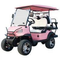 China 48V Lithium Battery 6 Passenger Golf Cart with Rear Hub Motor and Audio System for sale