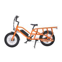 China Electric City Bicycle 1000W Dual Battery Fat Tire Ebike 48V 16Ah Step Through for sale