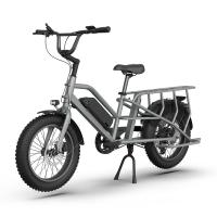 China Electric City Bicycle 1000W Dual Battery Fat Tire Ebike 48V 16Ah Step Through for sale