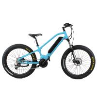 China Coll Electric Mountain Bike 29 Inch Carbon Fiber Frame 48V 15Ah Lithium Battery for sale