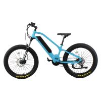 China Coll Electric Mountain Bike 29 Inch Carbon Fiber Frame 48V 15Ah Lithium Battery for sale
