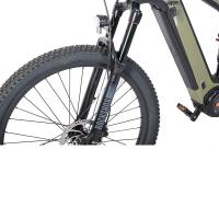 China DOMANCA 26 Inch Carbon Fiber Ebike 750W Center Motor 48V 13Ah Disc Brake 7 Speed for sale
