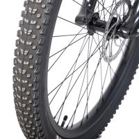 China DOMANCA 26 Inch Carbon Fiber Ebike 750W Center Motor 48V 13Ah Disc Brake 7 Speed for sale