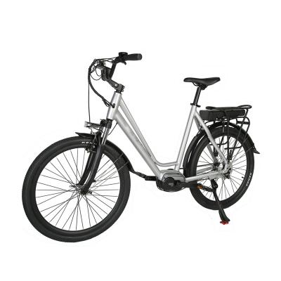 China Customized City Ebike for Women 750W Motor 48V 15AH Electric Bicycle Max Speed 30-50km/h for sale