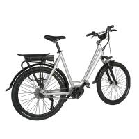 China Customized City Ebike for Women 750W Motor 48V 15AH Electric Bicycle Max Speed 30-50km/h for sale
