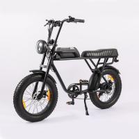 China 20 Inch Fatbike Electric Mountain Bike 48V 16Ah Lithium Battery 7 Speed Pedal Assist for sale