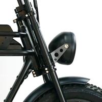 China 20 Inch Fatbike Electric Mountain Bike 48V 16Ah Lithium Battery 7 Speed Pedal Assist for sale