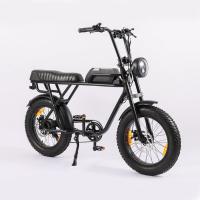 China OU-XI H9 Custom Electric Bike 48V 20 Inch Two Seats Max Speed 30-50km/h OEM ODM for sale