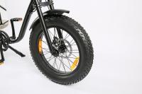 China OU-XI H9 Custom Electric Bike 48V 20 Inch Two Seats Max Speed 30-50km/h OEM ODM for sale