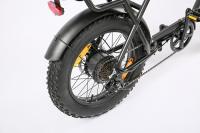 China OU-XI H9 Custom Electric Bike 48V 20 Inch Two Seats Max Speed 30-50km/h OEM ODM for sale