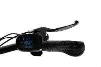 China Customized Electric Scooter 36V 250W Hub Motor 25kmh Max Speed 7 Speed Belt Drive for sale