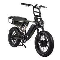 China 48V 1000W Bafang Dual Motor Disc Brake Electric Fat Bike City Ebike 20 Inch for sale