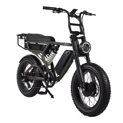 China 48V 1000W Bafang Dual Motor Disc Brake Electric Fat Bike City Ebike 20 Inch for sale