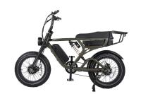 China 48V 1000W Bafang Dual Motor Disc Brake Electric Fat Bike City Ebike 20 Inch for sale