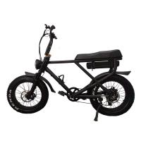 China 48V 1000W Bafang Dual Motor Disc Brake Electric Fat Bike City Ebike 20 Inch for sale