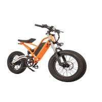 China 750W Off-Road Electric Fat Tire Bike 48V 13Ah Lithium Battery 180kg Load Capacity for sale