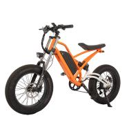 China 750W Off-Road Electric Fat Tire Bike 48V 13Ah Lithium Battery 180kg Load Capacity for sale
