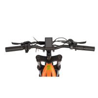 China 750W Off-Road Electric Fat Tire Bike 48V 13Ah Lithium Battery 180kg Load Capacity for sale