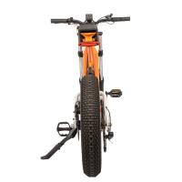 China 750W Off-Road Electric Fat Tire Bike 48V 13Ah Lithium Battery 180kg Load Capacity for sale