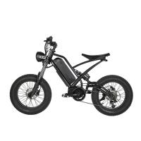 China Off-Road Electric Fat Tire Bike 750W Motor 48V 13Ah Lithium Battery 20 Inch Wheel 7 Speed for sale