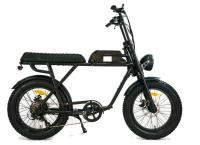 China 48V 500W 20 Inch Fat Tire Full Suspension Electric Bike MT01 Retro Moped 120kg Load for sale