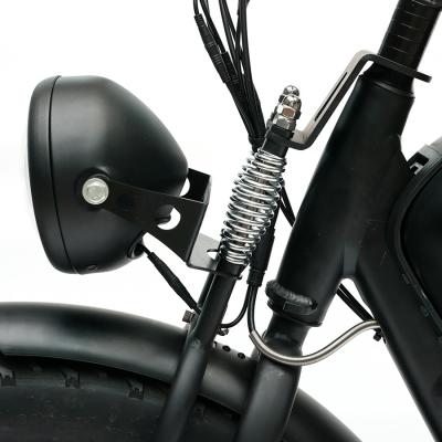 China 48V 750W Retro Leisure Fat Wheel E-bike for Adults with Samsung 48V40AH Battery for sale