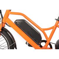 China 500W-1000W Two Wheeled Cargo Electric Bike for Family Max Speed 30km/h Rear Hub Motor for sale
