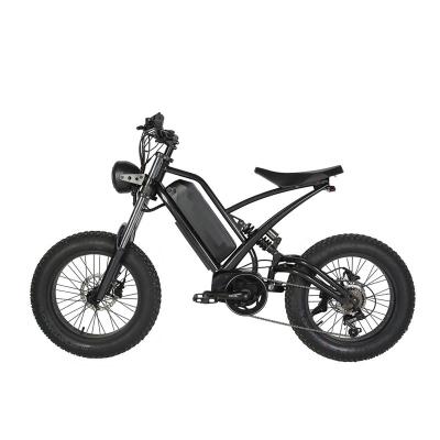 China 20 Inch Lithium Battery Electric Motorcycle 48V 20Ah Fat Tire Ebike with 750W Motor for sale