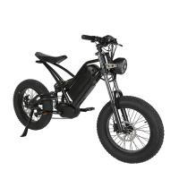 China 20 Inch Lithium Battery Electric Motorcycle 48V 20Ah Fat Tire Ebike with 750W Motor for sale