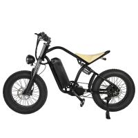 China 20 Inch Lithium Battery Electric Motorcycle 48V 20Ah Fat Tire Ebike with 750W Motor for sale