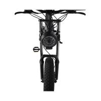 China 20 Inch Lithium Battery Electric Motorcycle 48V 20Ah Fat Tire Ebike with 750W Motor for sale