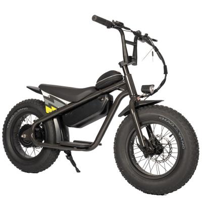 China Aluminum Alloy Frame Kids Motorcycle Ebike 250W Motor 13Ah Battery 48V 24 Inch Disc Brake for sale