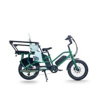 China Special Design Dark Green Long Tail Cargo Ebike 500W-1000W Alloy Electric Cargo Bikes for sale
