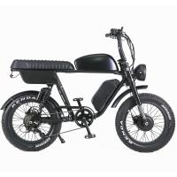 China 1000W Full Suspension Electric Fat Bike 20x4.0 Tires 48V 12.8Ah Lithium Battery for sale