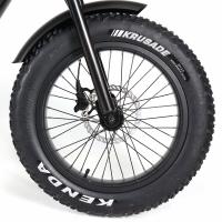 China 1000W Full Suspension Electric Fat Bike 20x4.0 Tires 48V 12.8Ah Lithium Battery for sale