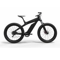 China Carbon Fiber Electric Mountain Bike 750W BAFANG Motor 26x4.0 Fat Tire Disc Brake for sale